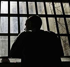 Prisoner Tropics Of Meta