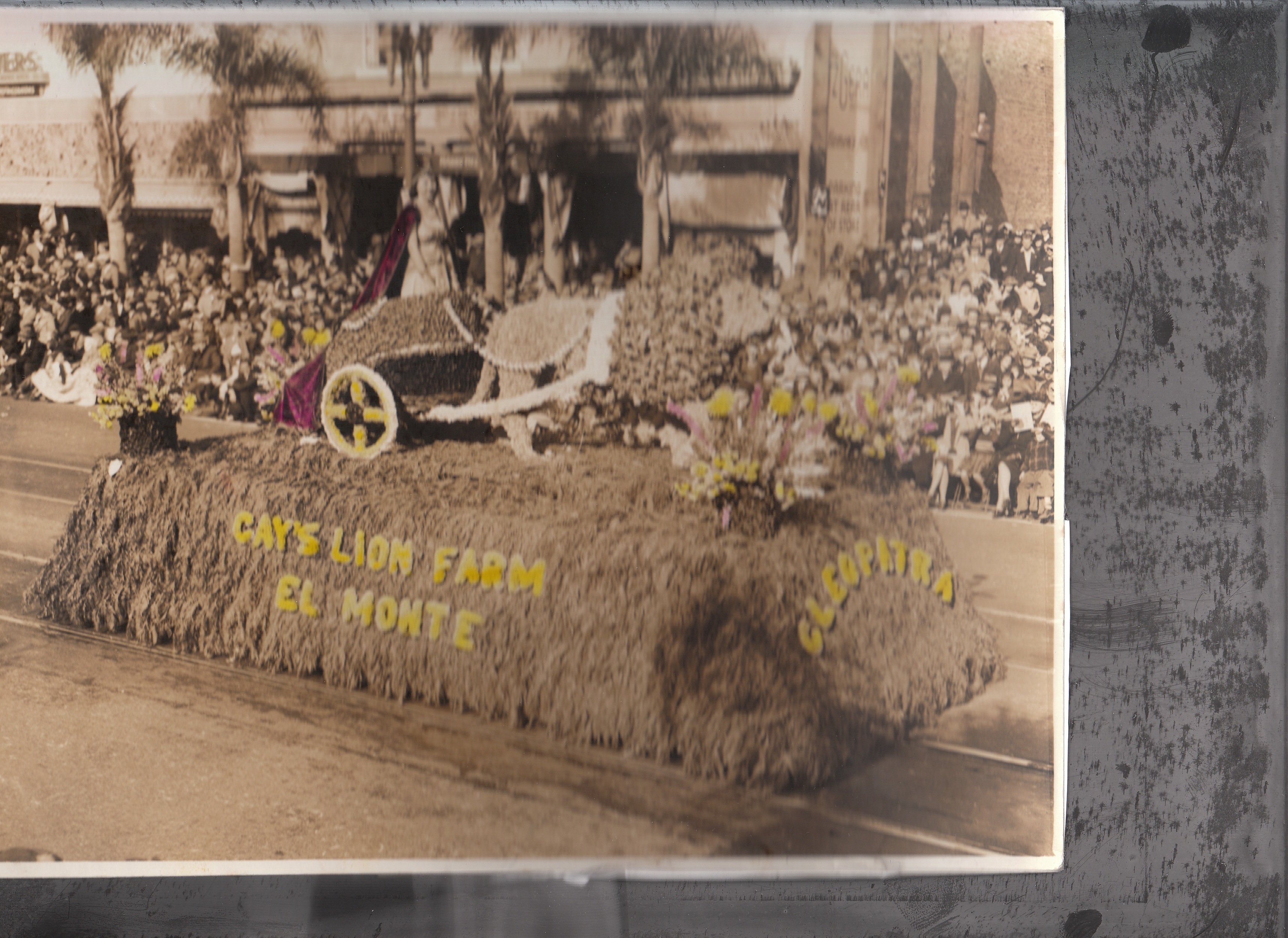 El Monte’s Wild Past: A History of Gay’s Lion Farm – Tropics of Meta